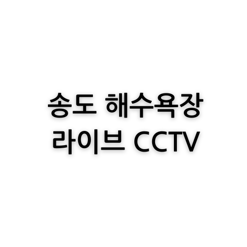 송도해수욕장 라이브 CCTV