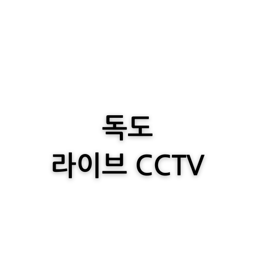 독도 라이브 CCTV